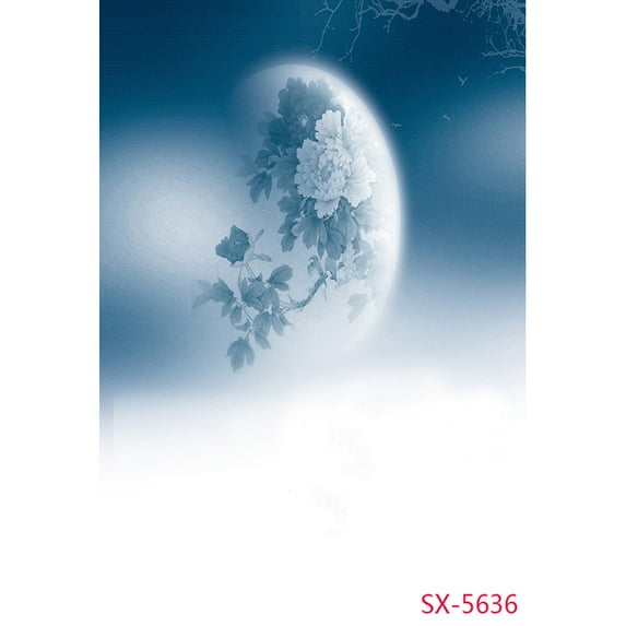 Chinese Style And Picturesque Portrait Scenery Professional Photography ...