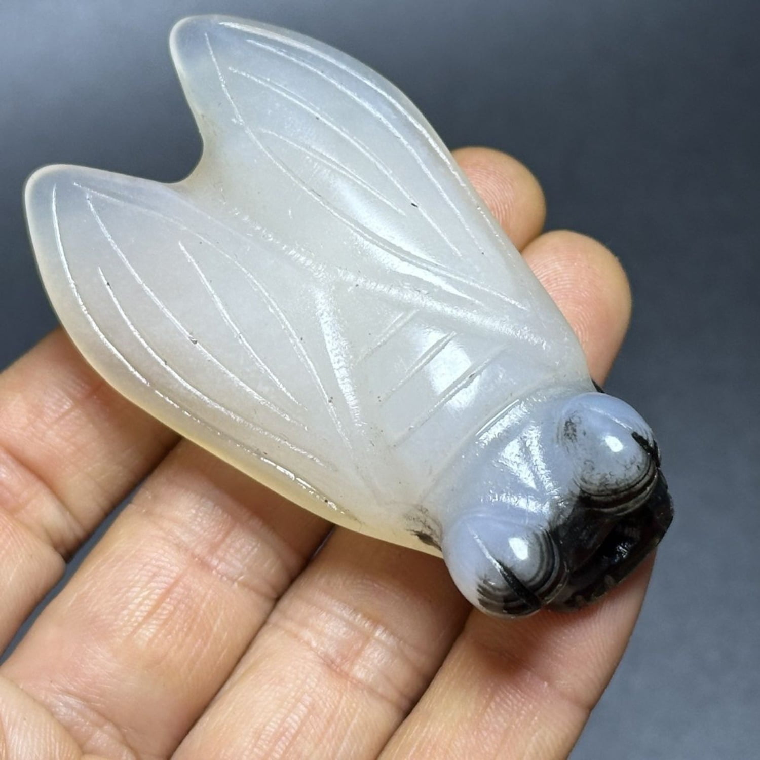 Chinese Style Cicada Figurine Resin Insect Sculpture Desk Ornament ...