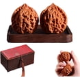 Chinese Walnuts Fidget – 2Pcs Chinese Exercise Walnuts with Gift Box ...