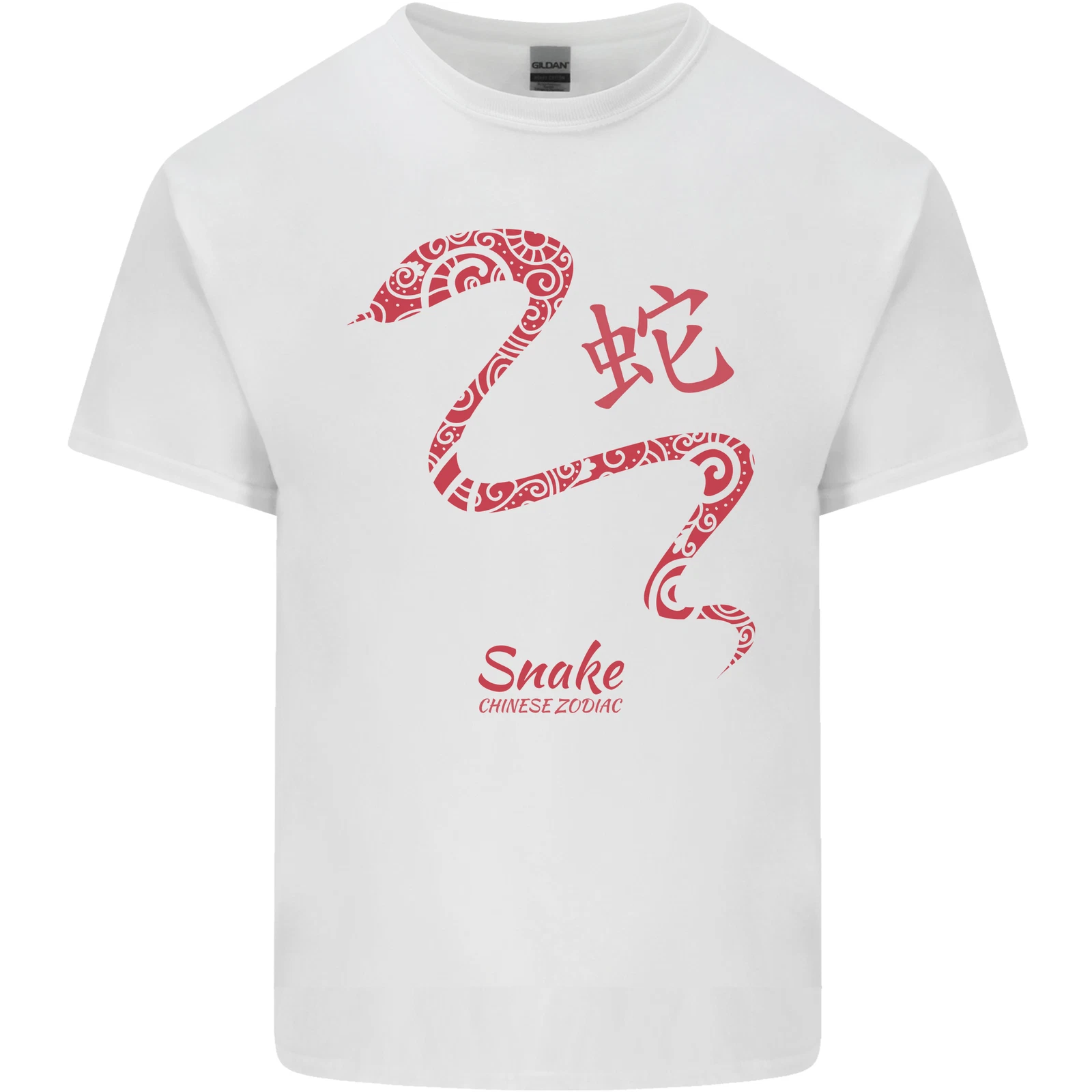 Chinese Zodiac Shengxiao Year of the Snake for an Astrology and Unisex ...