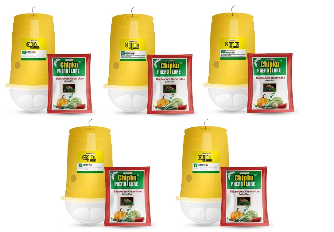 Chipku Eco Trap/Ipm Trap/Glass Trap/Melon Fly Trap- Useful For Melon ...