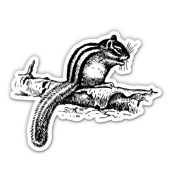 Chipmunk - 12" Vinyl Sticker Waterproof Decal - Walmart.com