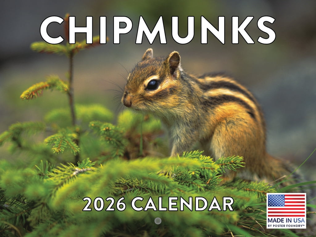 Chipmunk Calendar 2026 Monthly Wall Calender 12 Month | American Made ...