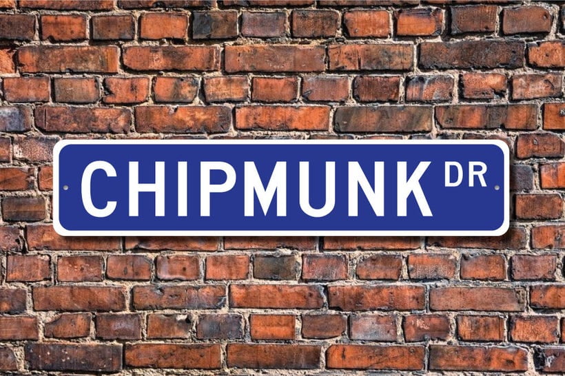 Chipmunk Chipmunk Gift Chipmunk Sign Chipmunk decor Chipmunk lover ...