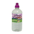 Chippewa Sport Spring Water, 20 Fl. Oz. - Walmart.com