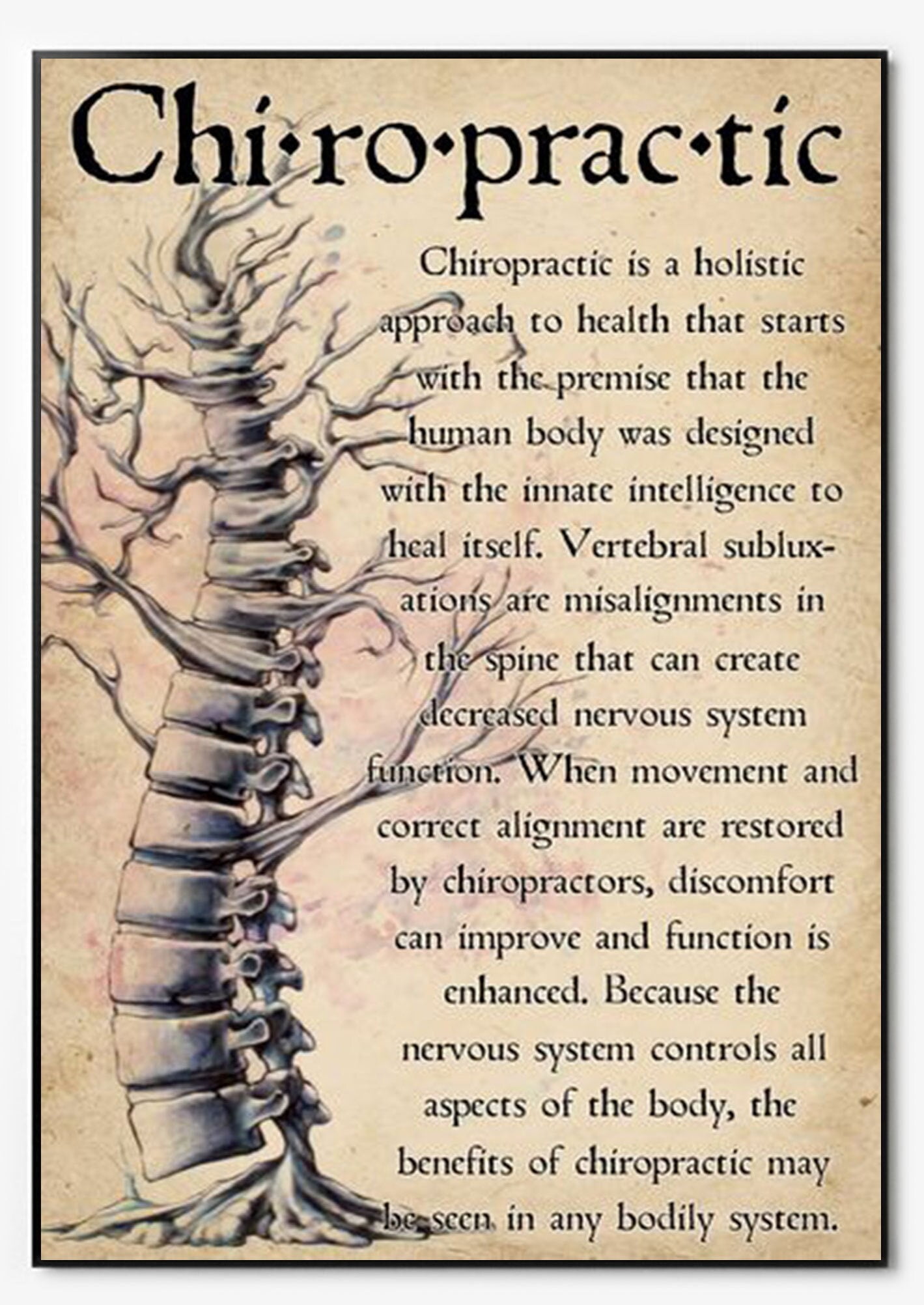 Chiropractic is a Holistic Approach Poster, Educational Chiropractic ...