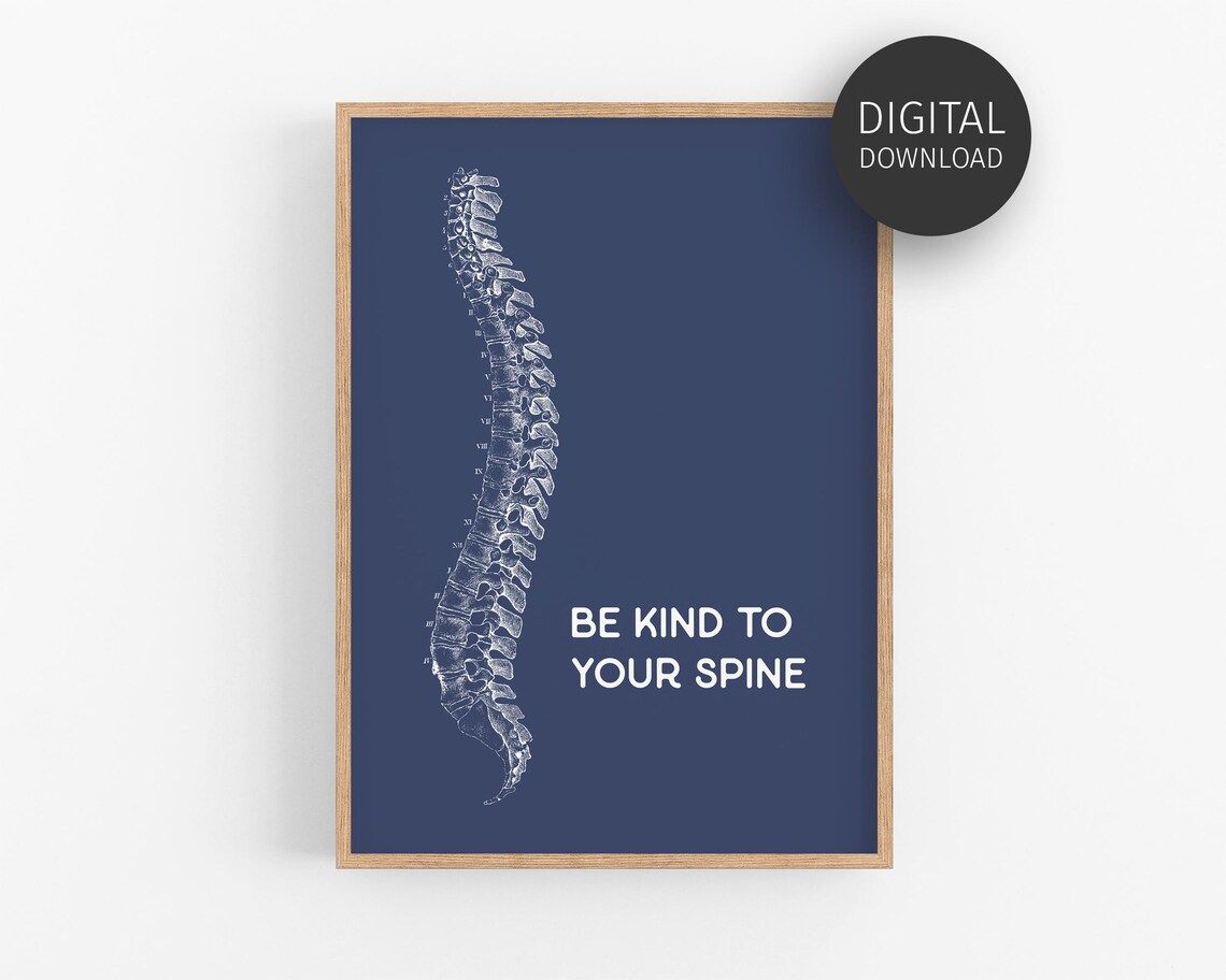 Chiropractor Poster, Chiropractic Gifts, Blue Spine Anatomy Poster ...