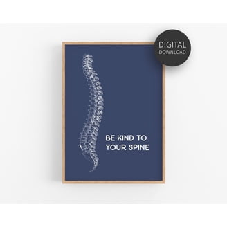 chiropractic posters