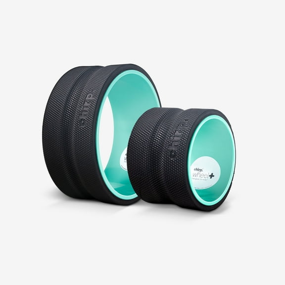 Chirp Wheel