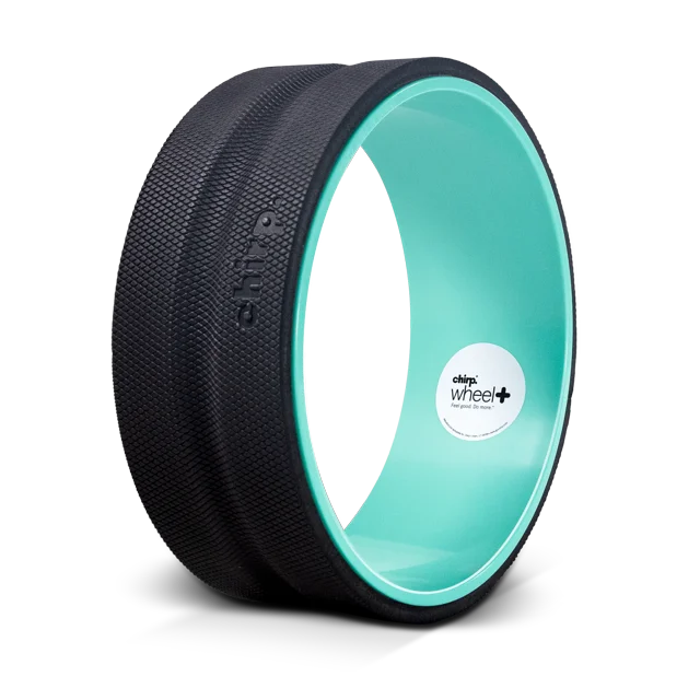 Chirp Wheel Plus 12" Gentle Pressure Wheel - Deep Stretch for Spine ...