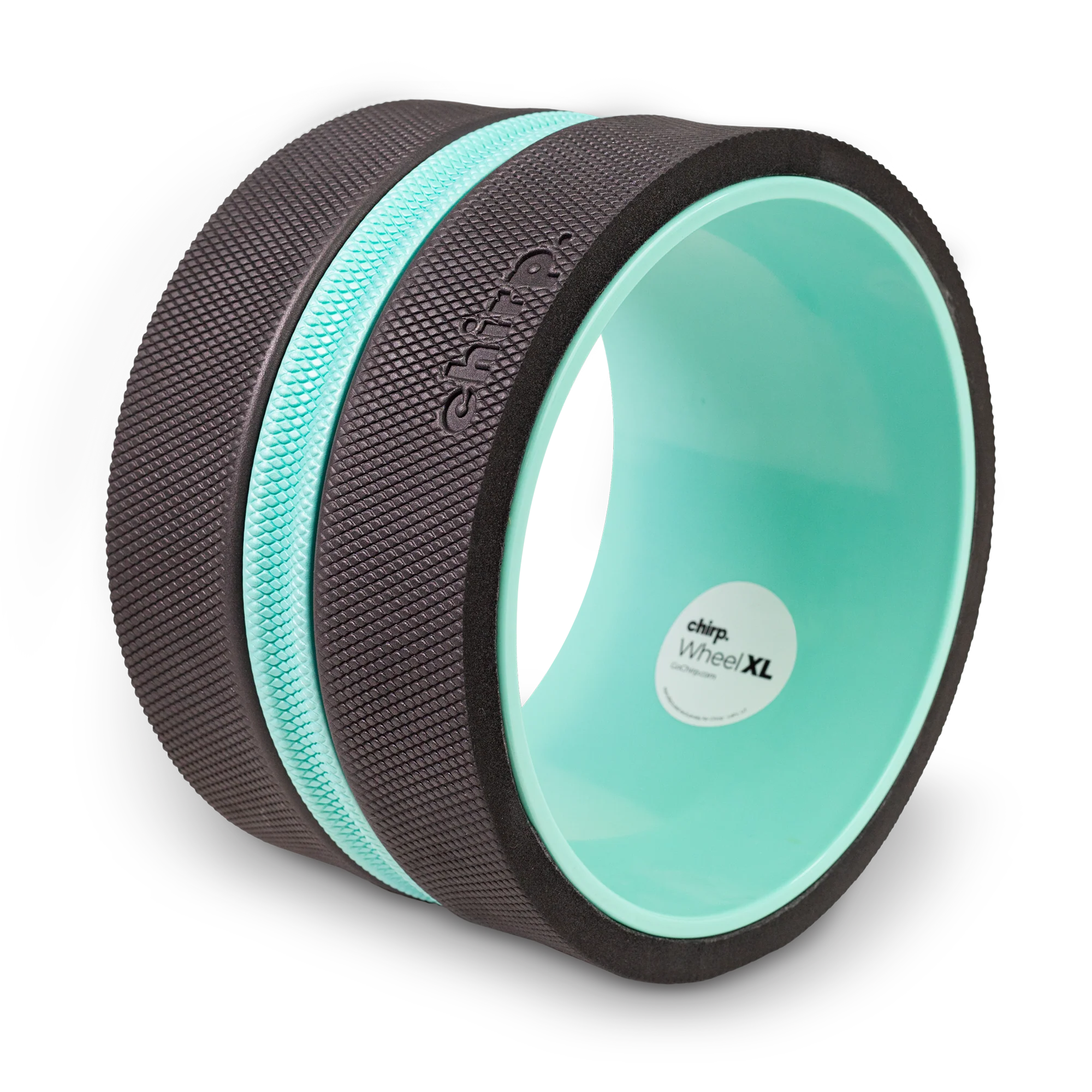 Chirp Wheel XL - 10" - DTC - Walmart.com