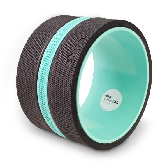 Chirp Wheel XL - 10" - DTC HSA/FSA Eligible - Walmart.com