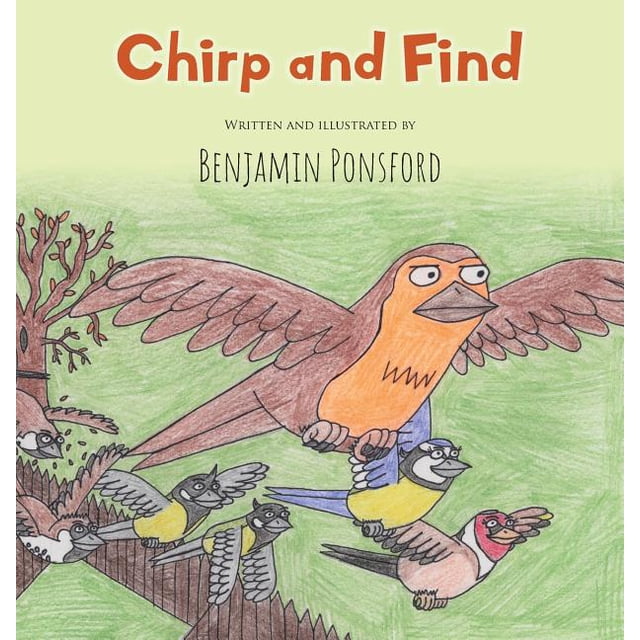 Chirp and Find (Hardcover) - Walmart.com
