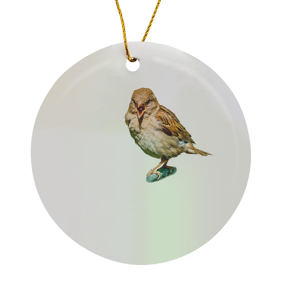 3drose, Chirping Sparrow on White Background, Free Space for Custom ...