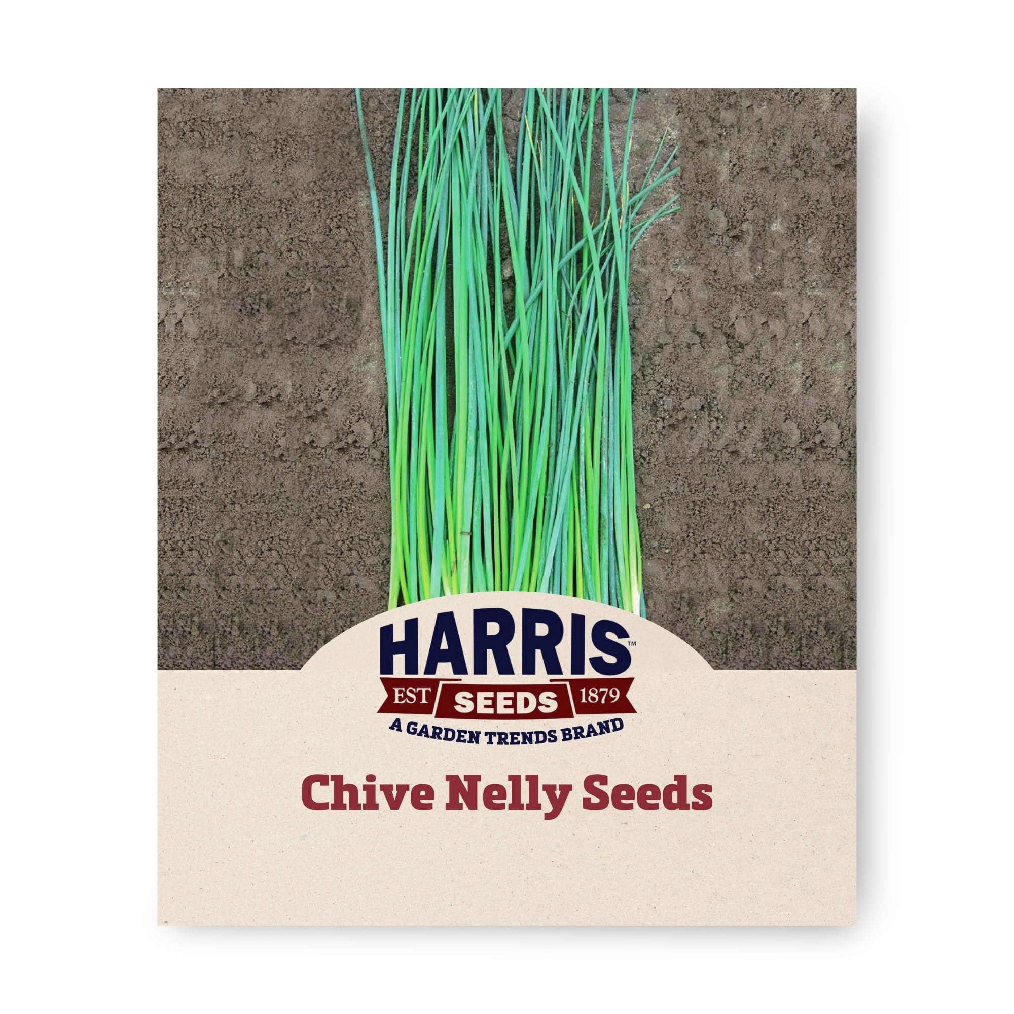 Harris Seeds - Chive Nelly Organic Variety Seeds - 1,000 Seeds ...