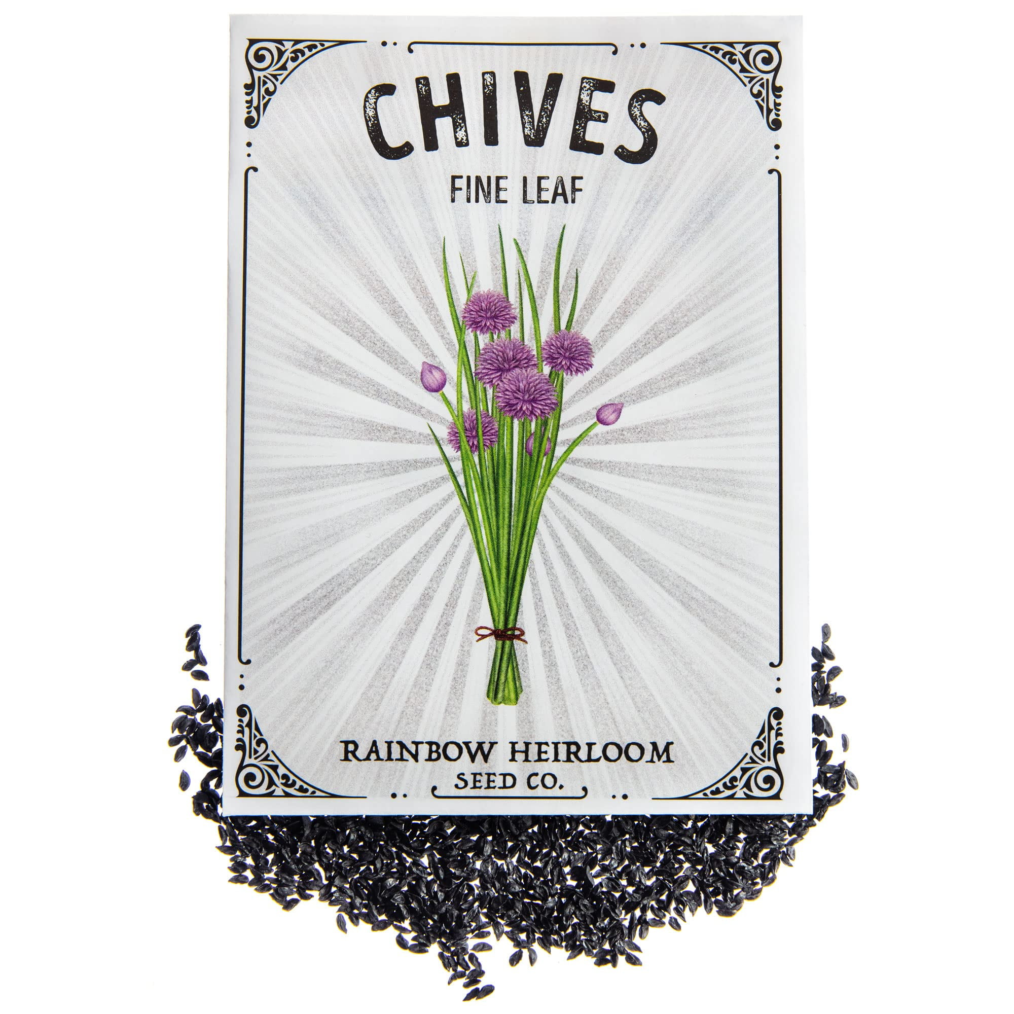 Chive Seeds for Planting | Fine Leaf Variety (1g Packet - Approx 250 ...