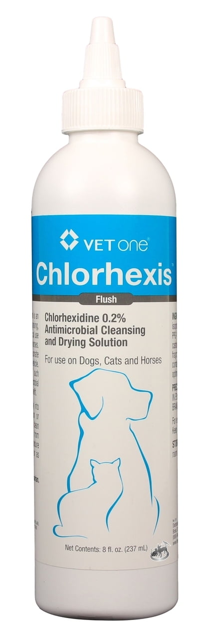 Chlorhexis Antimicrobial Flush Solution, 8 oz Medicinal Cleaning ...
