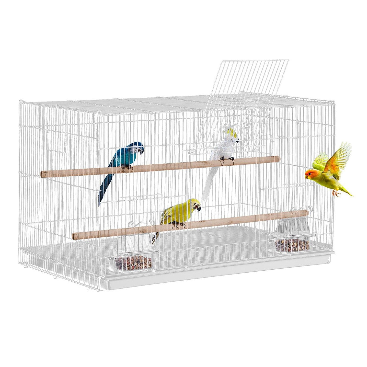 Choco Moon Small Metal Parakeet Cage, Perfect for Cockatiels, Sturdy ...
