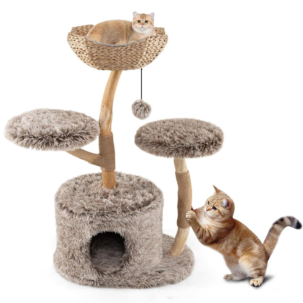 Choco Moon Wood Tree Solid Pear Cat Tree w/Perch & Sisal Posts, Cat ...