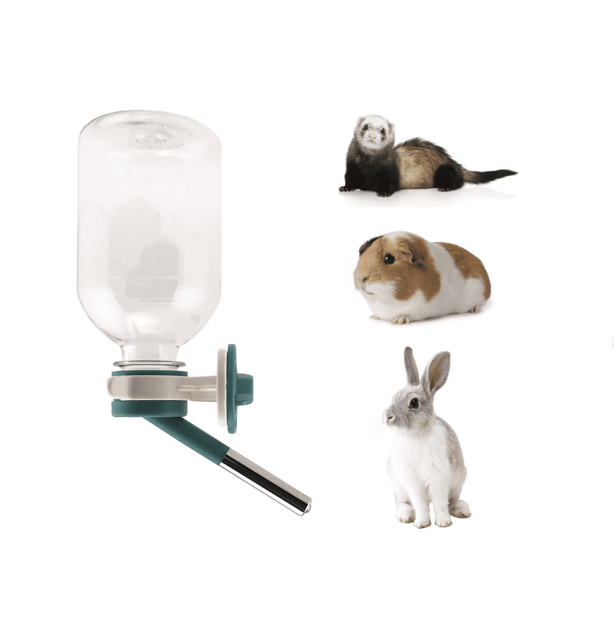 Choco Nose Patented No-Drip Water Bottle/Feeder for Guinea Pigs ...