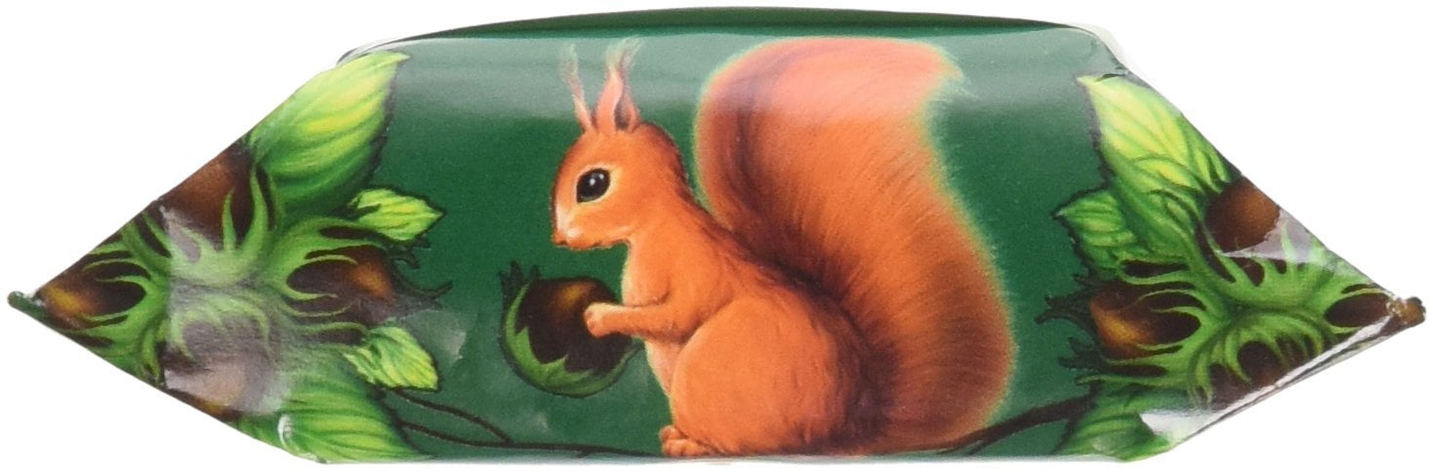 Chocolate Candy (Squirrel) - Walmart.com