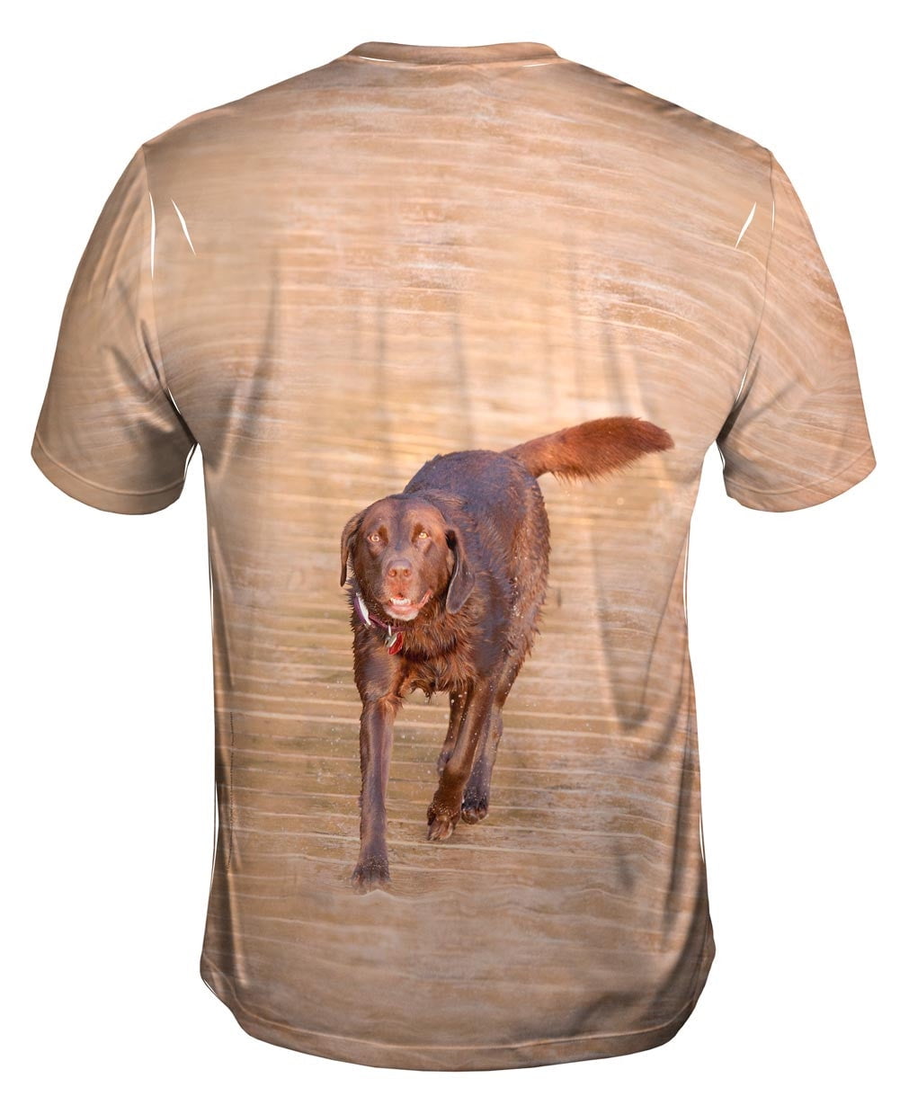 Chocolate Lab Boardwalk Stroll Mens T-Shirt All Over Print - Walmart.com