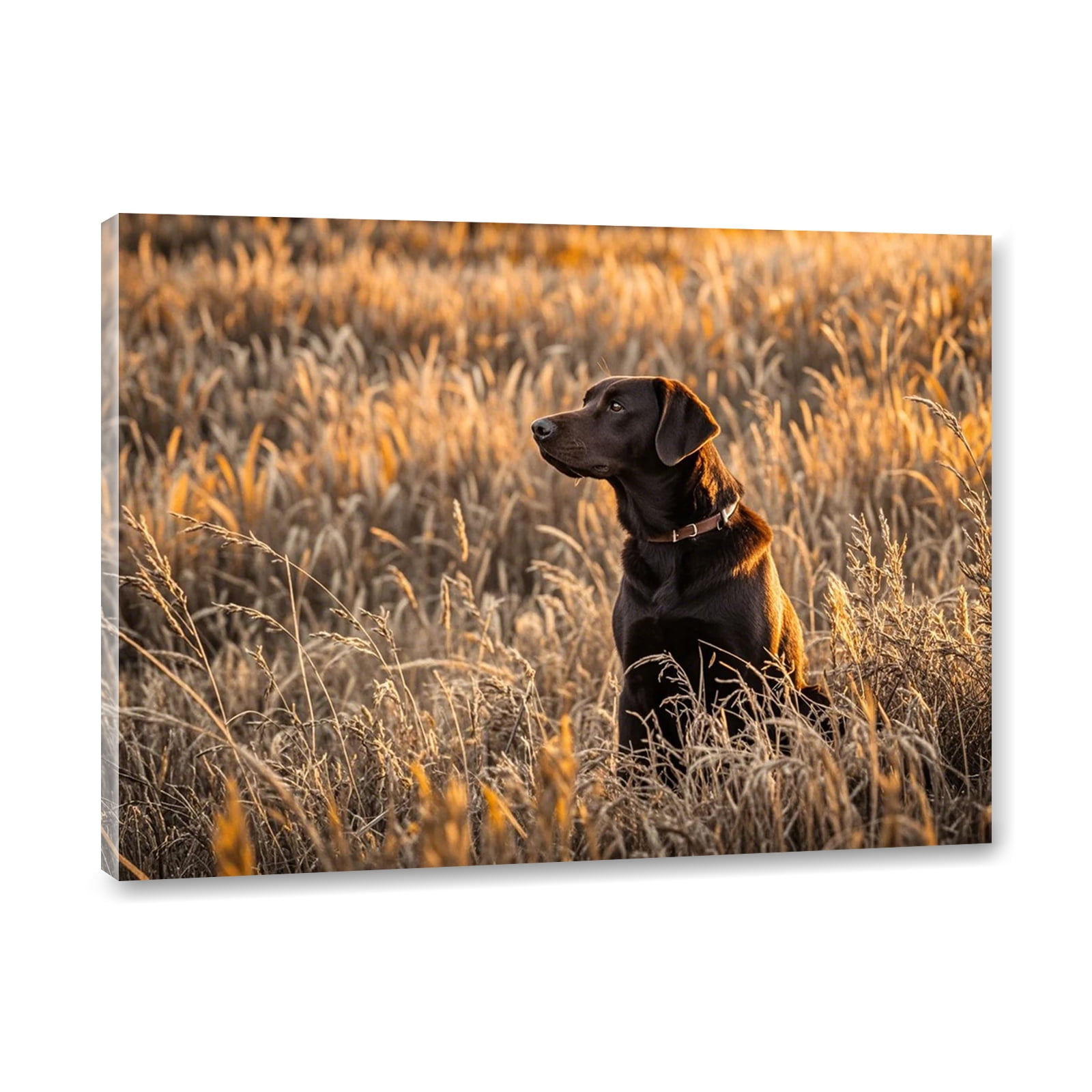 Chocolate Labrador Retriever Canvas Wall Art Framed Canvas Prints ...