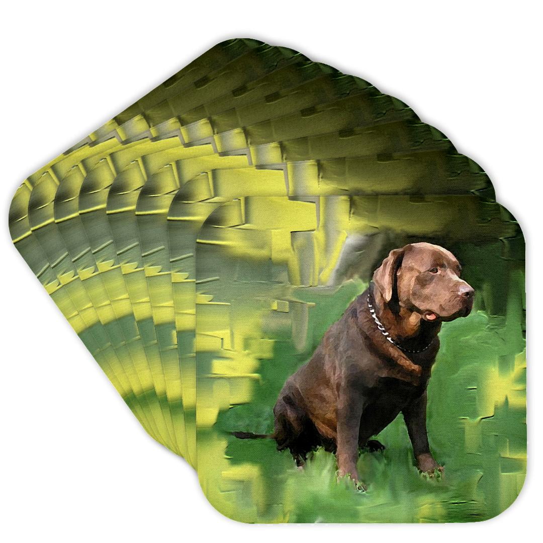 3dRose, Chocolate Labrador Retriever, Set of 8 Coasters - Soft ...
