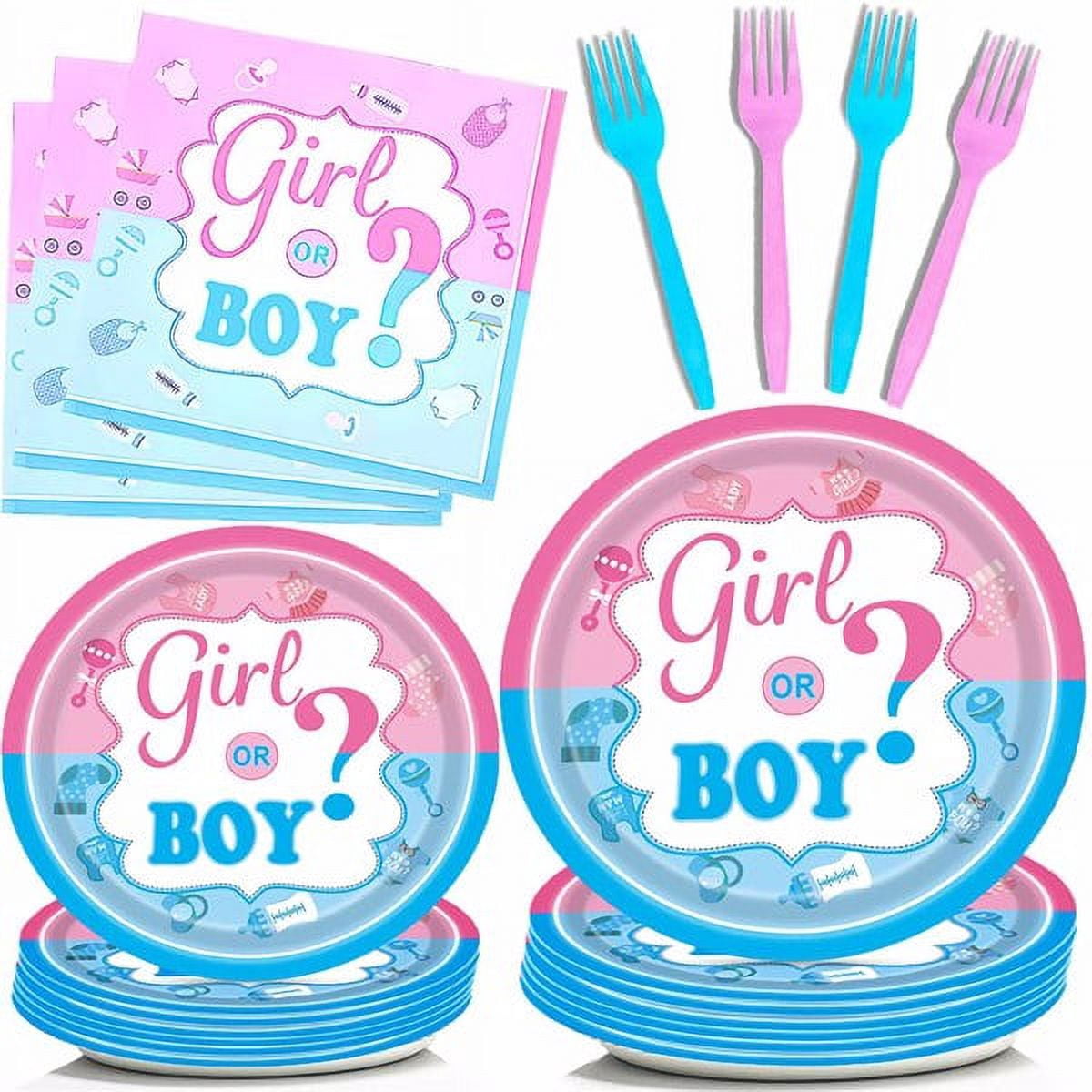 Chok 64Pcs Gender Reveal Party Tableware Supplies Set Boy or Girl ...