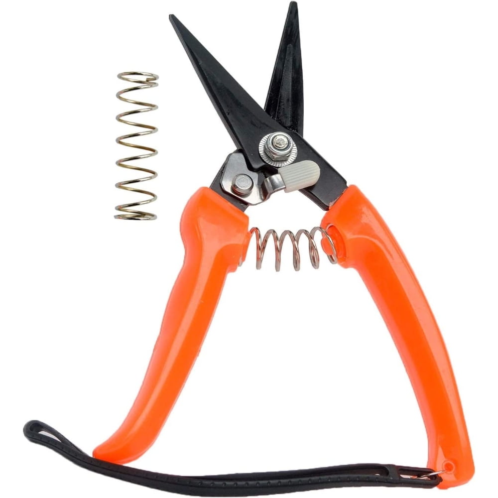 Chok Gardening Scissor, Bypass Pruning Shears, Stainless Steel Blades ...
