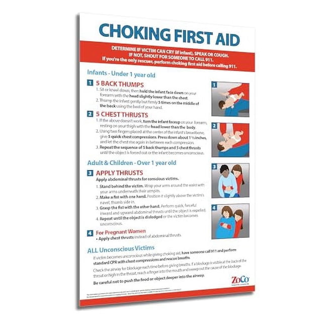 Choking Posters (10 Pack) for Infant, Child, Adult - Heimlich Maneuver ...