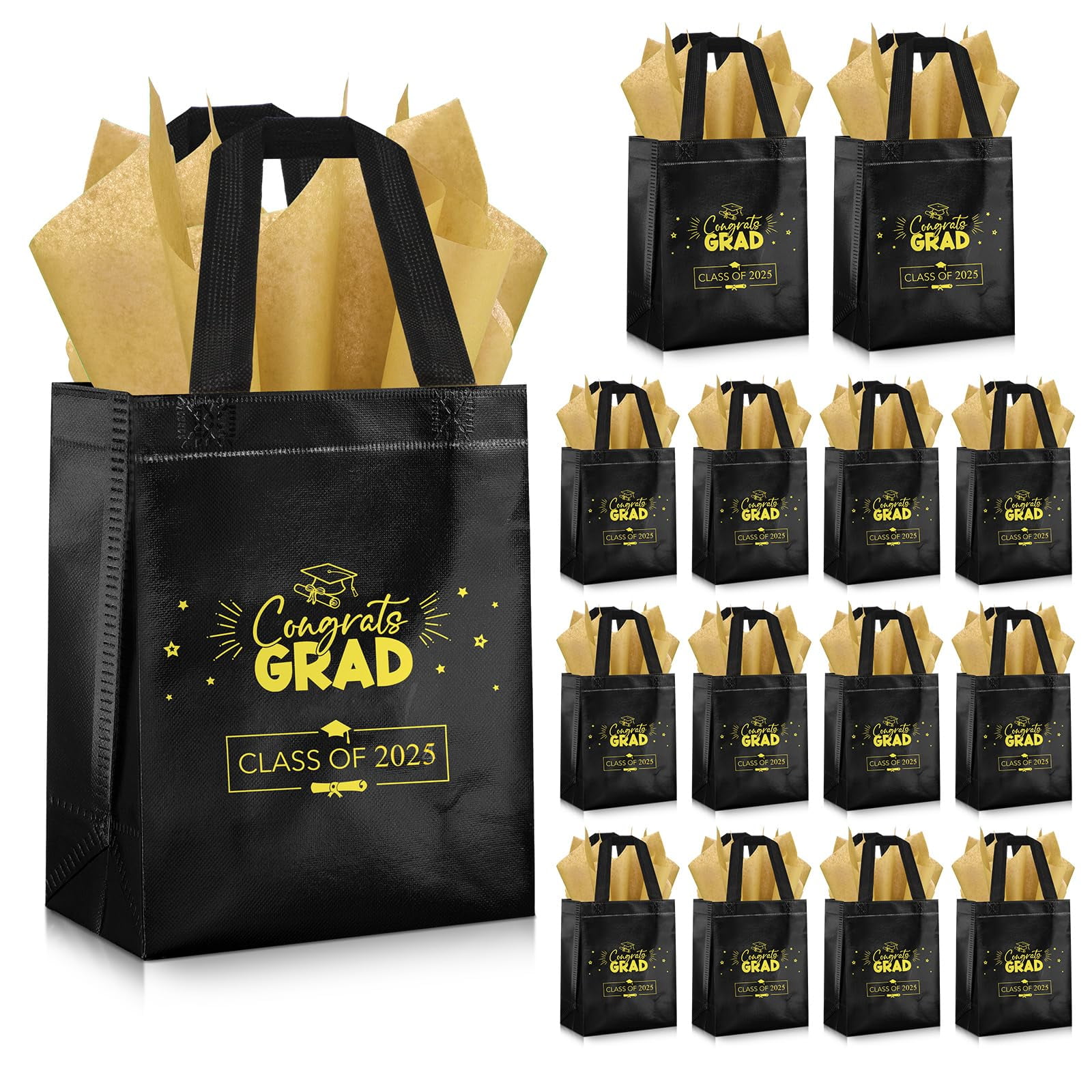 Cholemy 24 Set Graduation DMF15 Gift Bags Class of 2025 Metallic ...