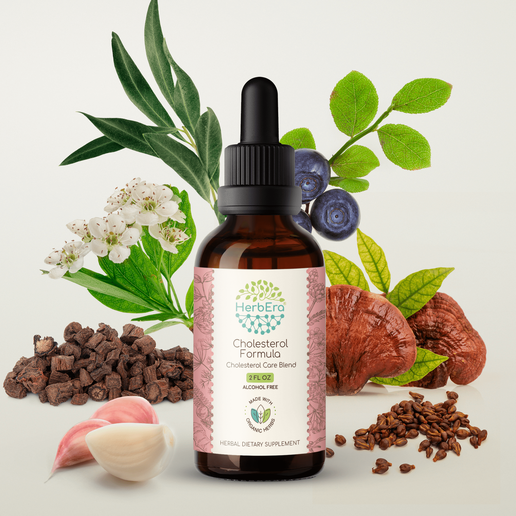 Cholesterol Formula Alcohol-FREE Extract Tincture. Cholesterol Care ...