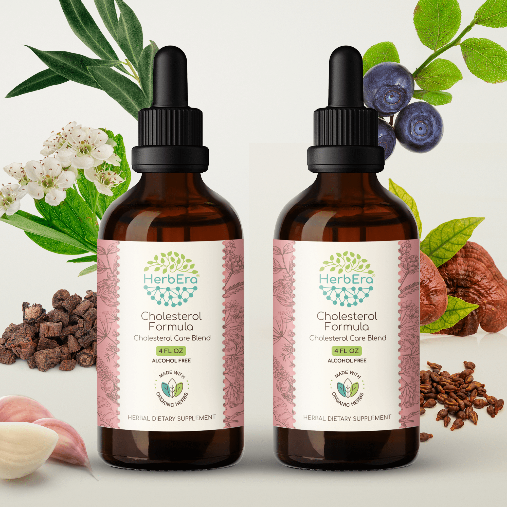Cholesterol Formula Alcohol-FREE Extract Tincture. Cholesterol Care ...