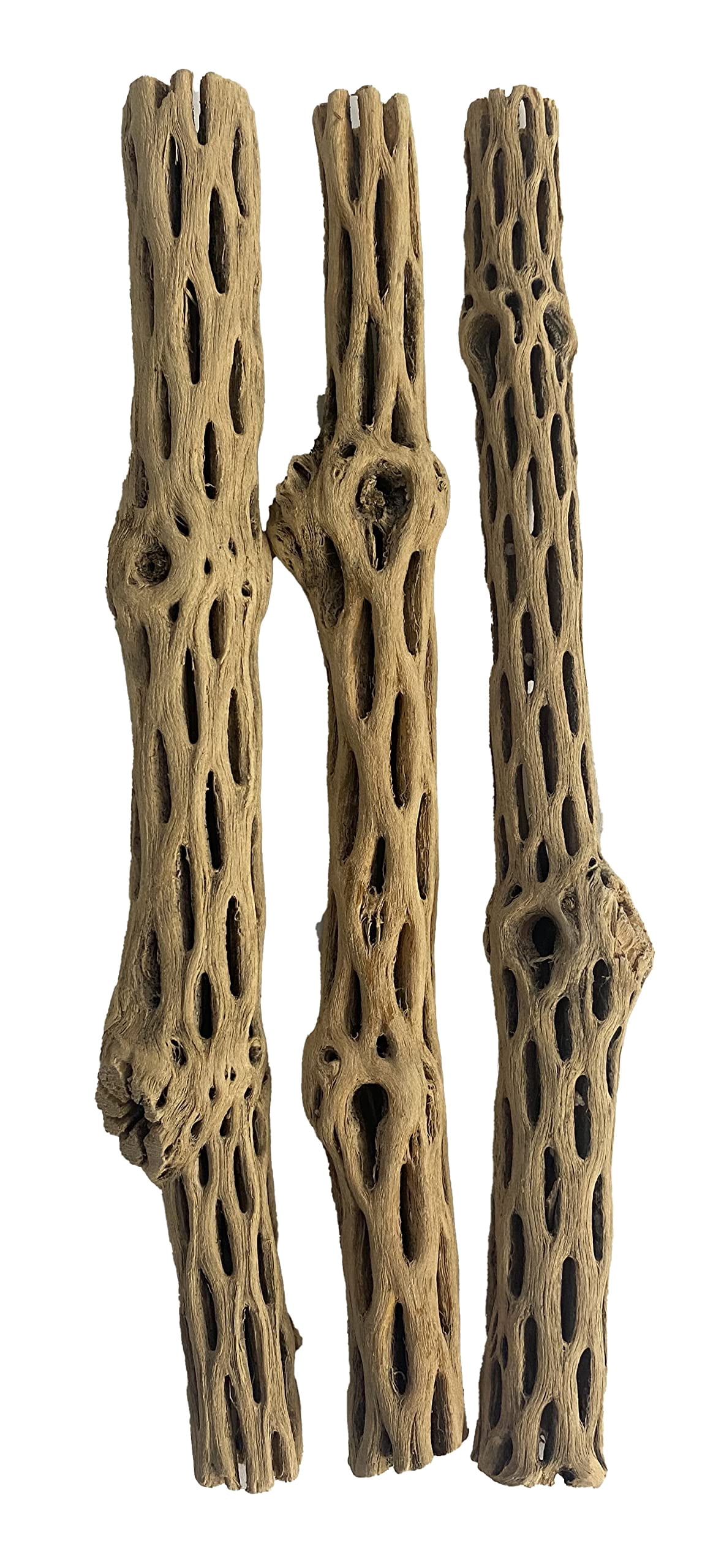 Cholla Wood 3 pc 12 inch Aquarium and Terrarium Decor - Walmart.com