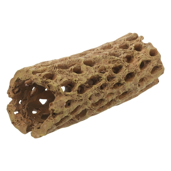 Cholla Wood Aquarium