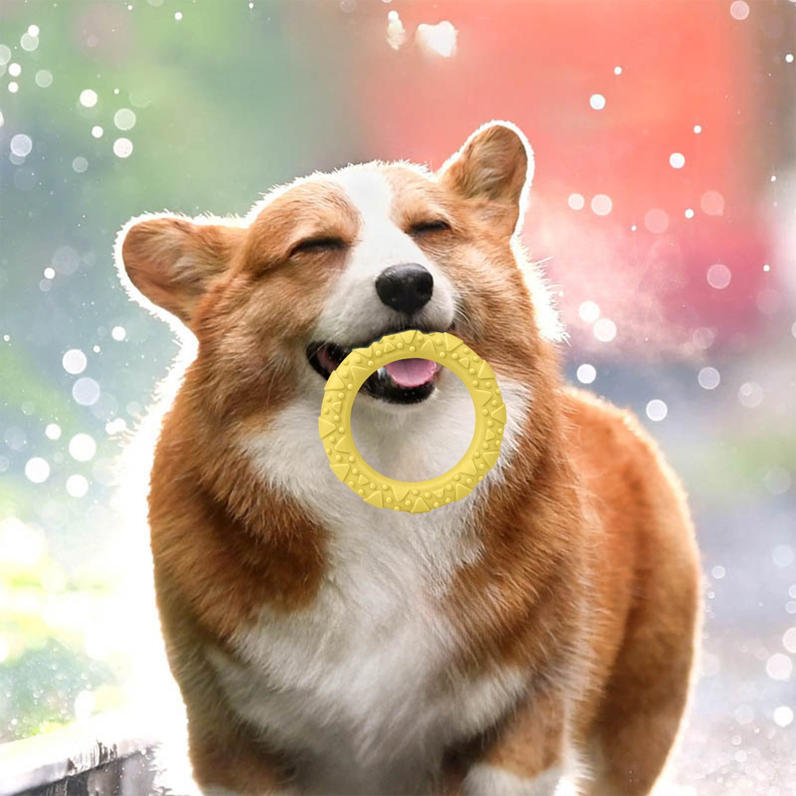 Chomp Ring - Durable, Soft, & Squishy Bite Puppy Toys for Dogs & Other ...