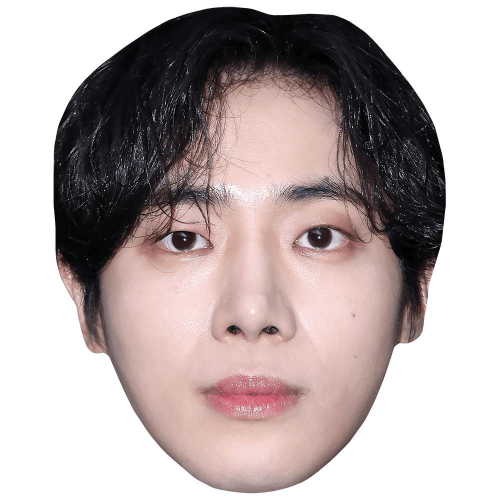 Choo Young Woo (Black Hair) Celebrity Mask, Flat Card Face, Fancy Dress ...