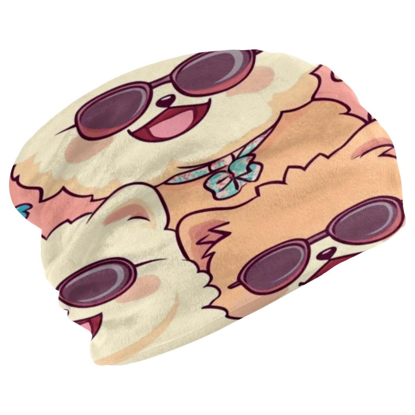 Chooh Artot Pomeranian Velvet Beanie Hats, Autumn Winter Skull Cap Warm ...