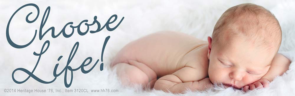 Choose Life Pro-Life Bumper Sticker - Walmart.com