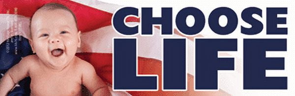 Choose Life Pro-Life Bumper Sticker - Walmart.com