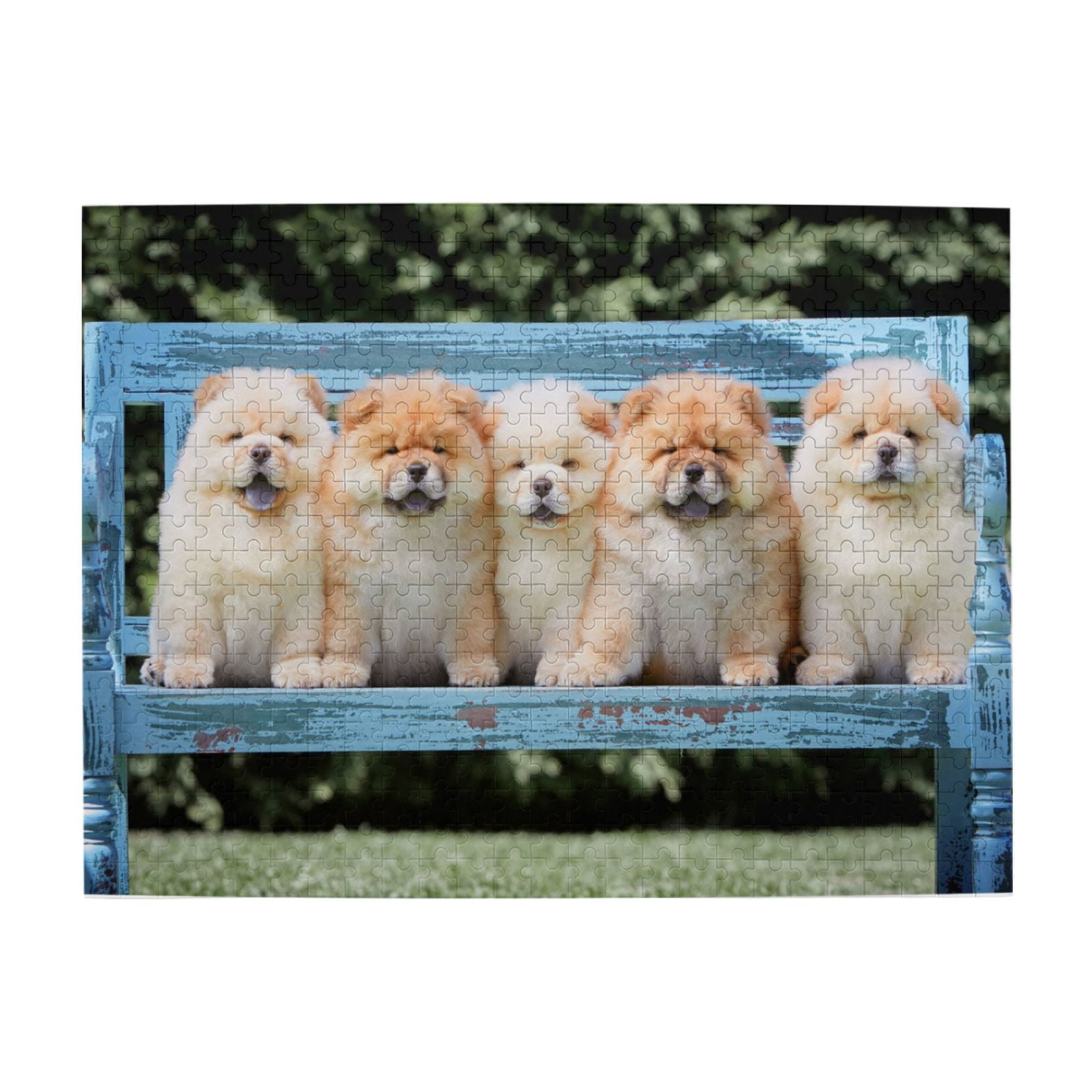 Chow-Chow Cute Dogs Five Puppies, Jigsaw Puzzles 500 Pieces Wooden ...