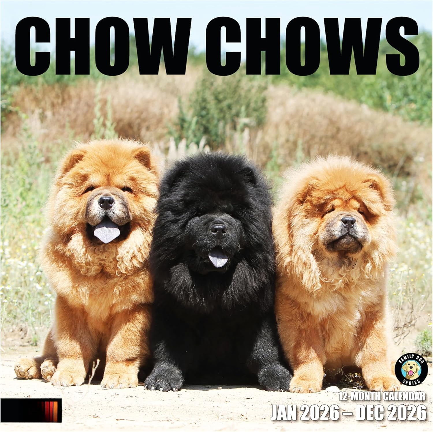 Chow Chows 2026 Wall Calendar 12 Month | 12" x 24" Open | Thick ...