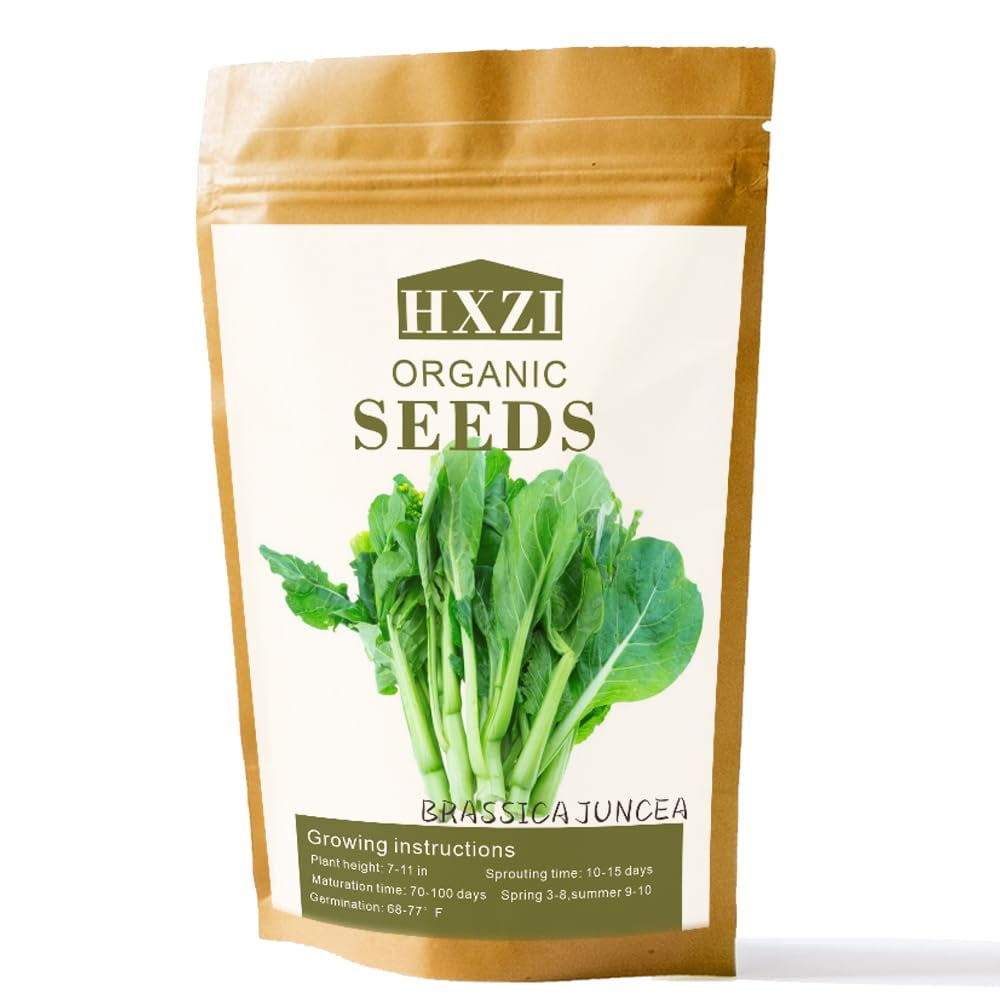 Choy Sum Seeds, TWE5 Pack of 3000 Chinese Cabbage, Asian Vegetable ...