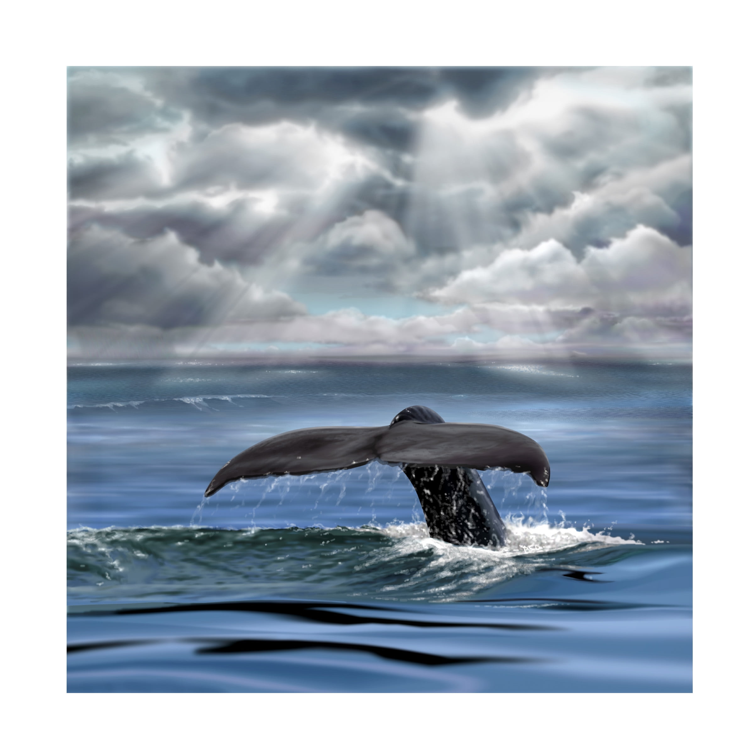 Flukes Of Whale Paintings