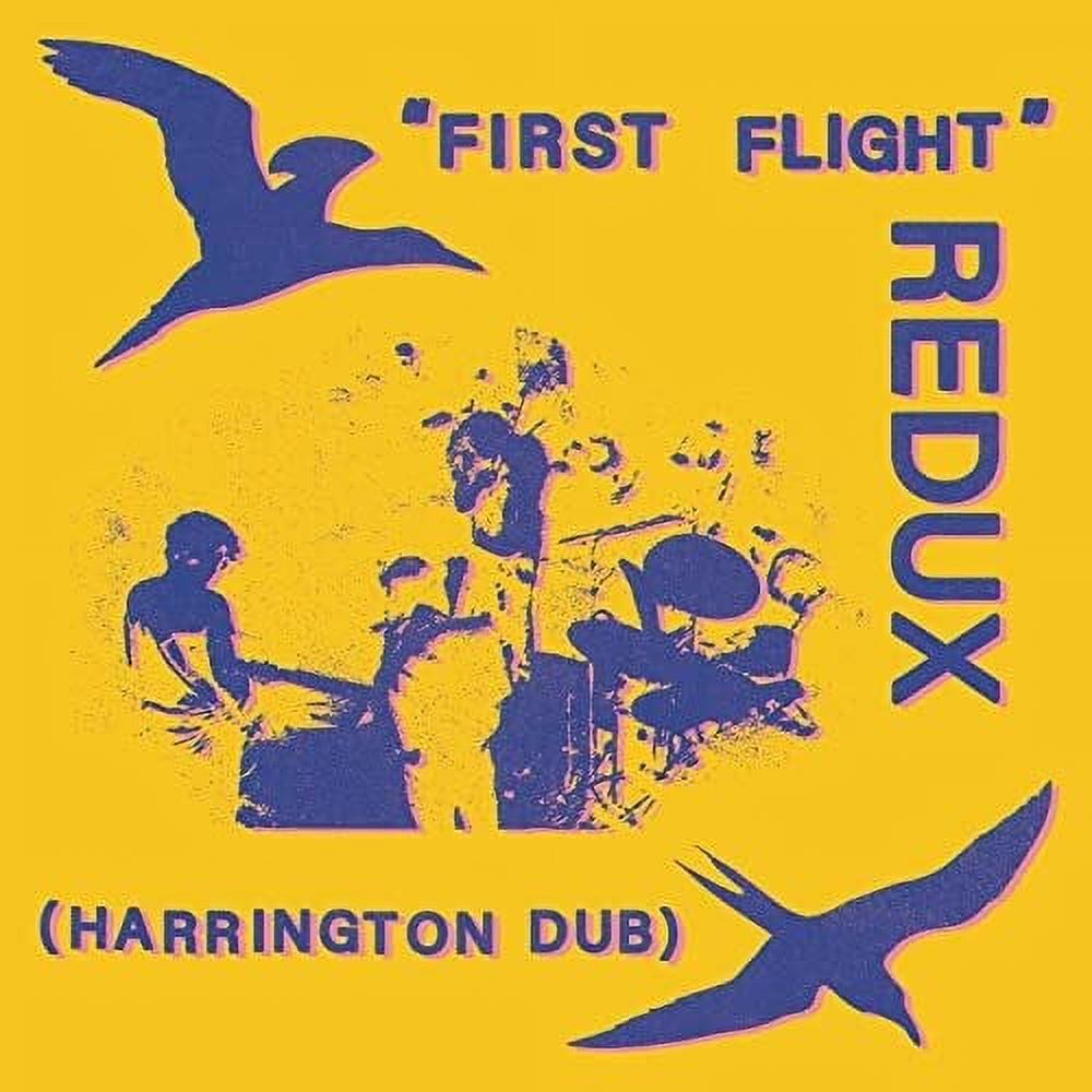 Chris Forsyth - First Flight Redux (Harrington Dub) - Music ...
