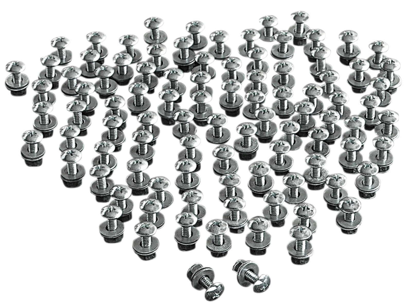 Chris Products License Plate Bolts 100PK (CHB100) - Walmart.com