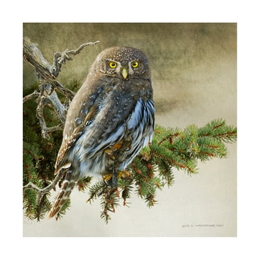 Richard Foust 'Antique Ship Sketch VIII' Canvas Art - Walmart.com