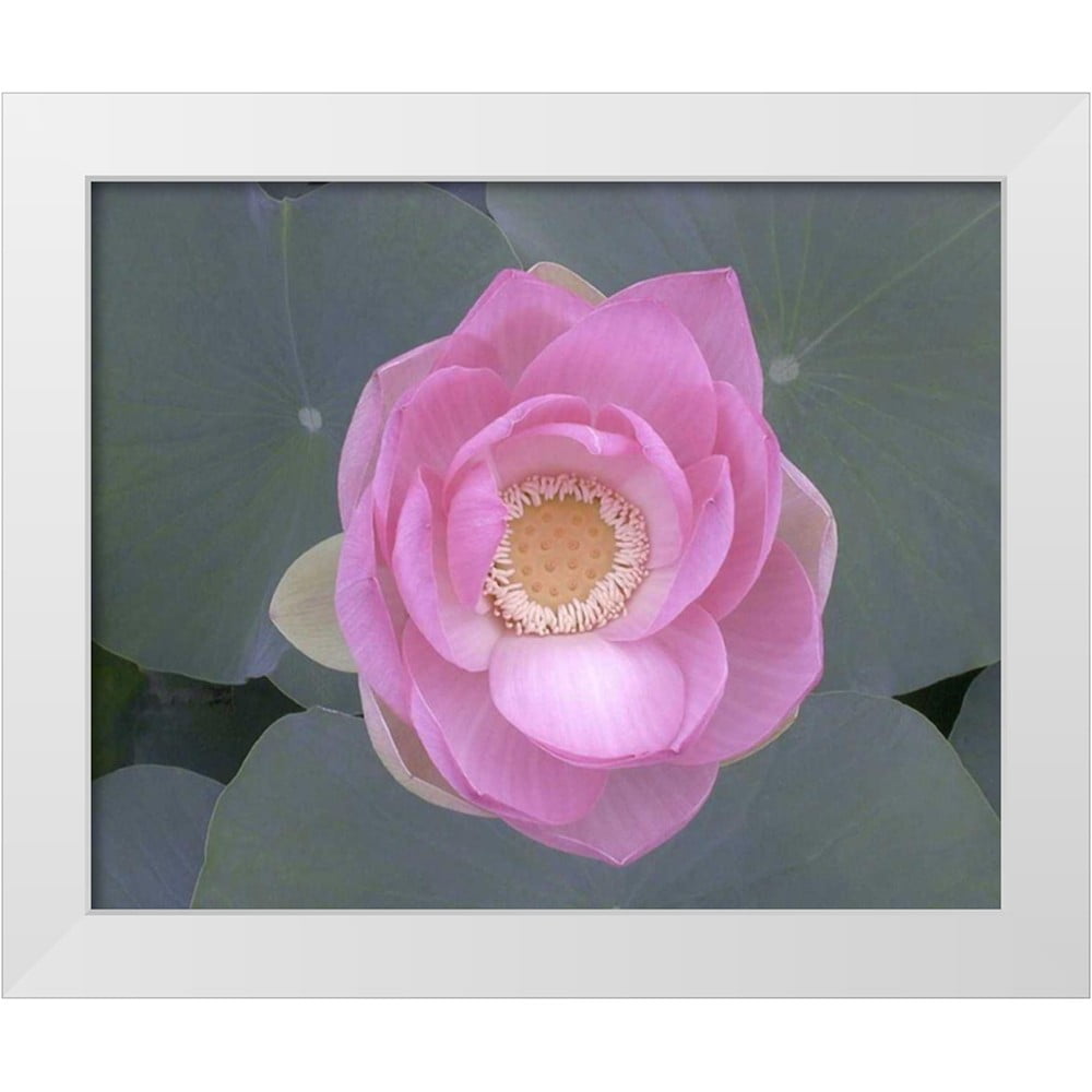 Christensen, Jim 14x12 White Modern Wood Framed Museum Art Print Titled ...