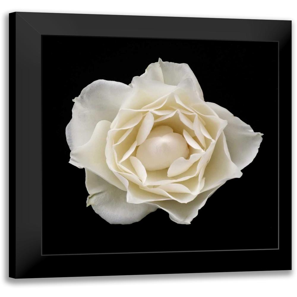Christensen, Jim 20x20 Black Modern Framed Museum Art Print Titled ...